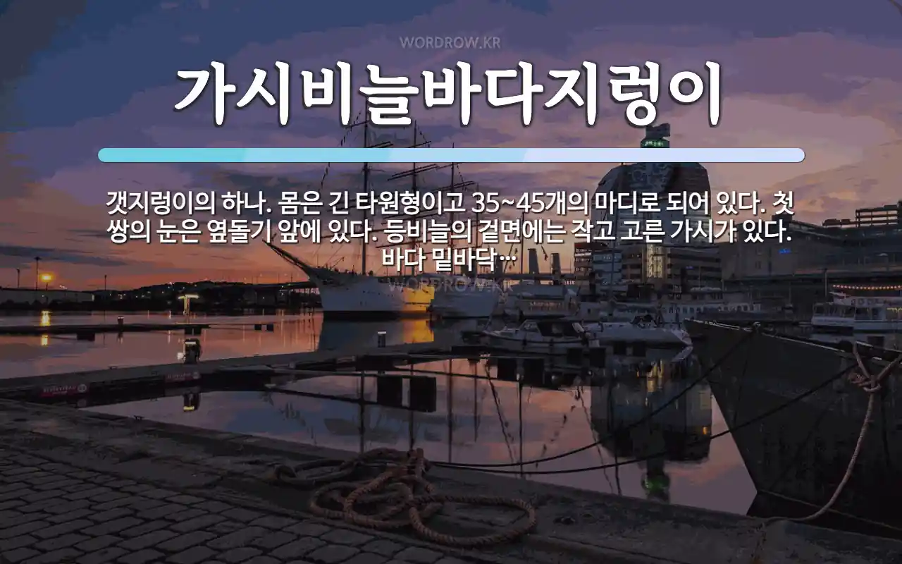 가시비늘바다지렁이 뜻 갯지렁이의 하나 몸은 긴 타원형이고 35~45개의 마디로 되어 있다 첫 쌍의 눈은 옆돌