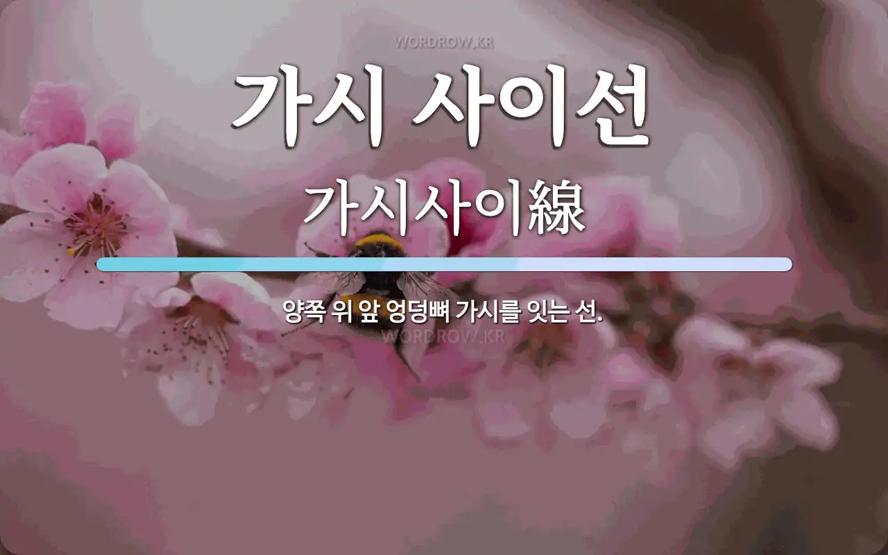 가시 사이선 뜻 양쪽 위 앞 엉덩뼈 가시를 잇는 선