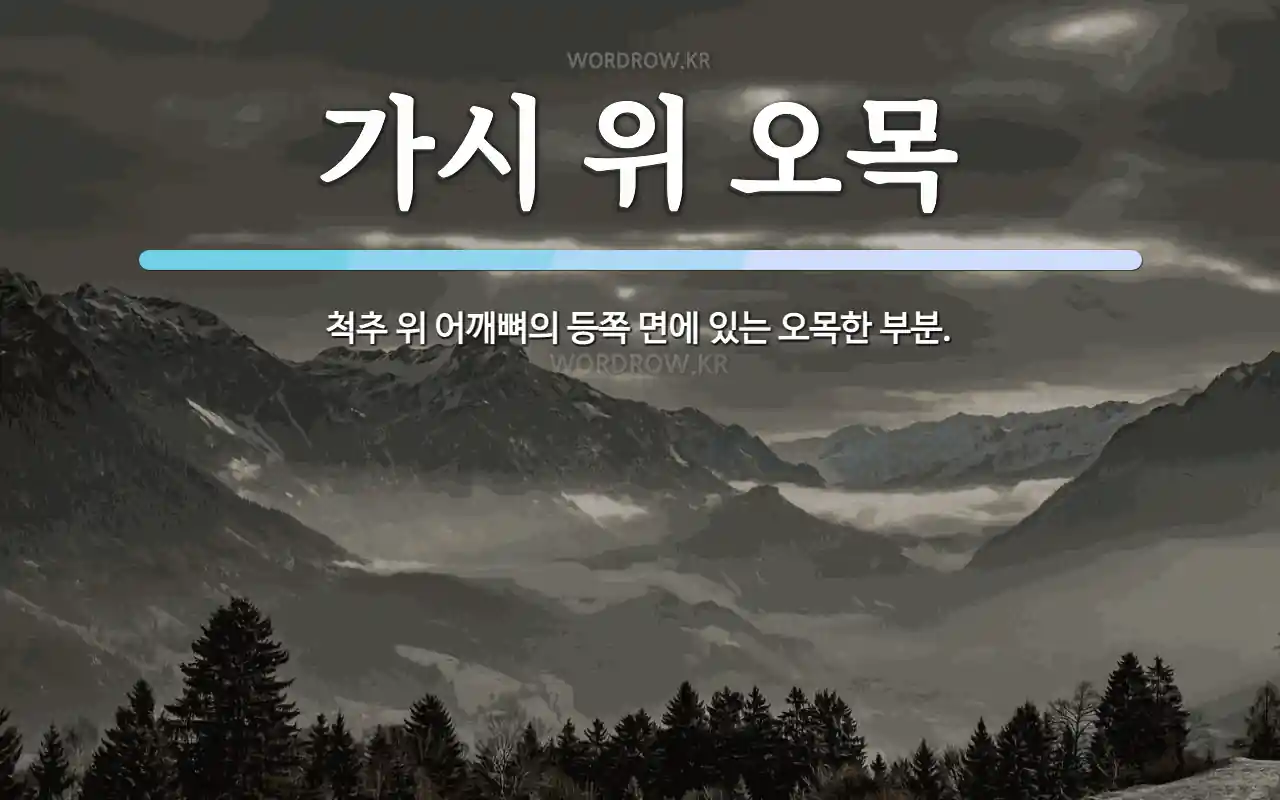 가시 위 오목 뜻 척추 위 어깨뼈의 등쪽 면에 있는 오목한 부분