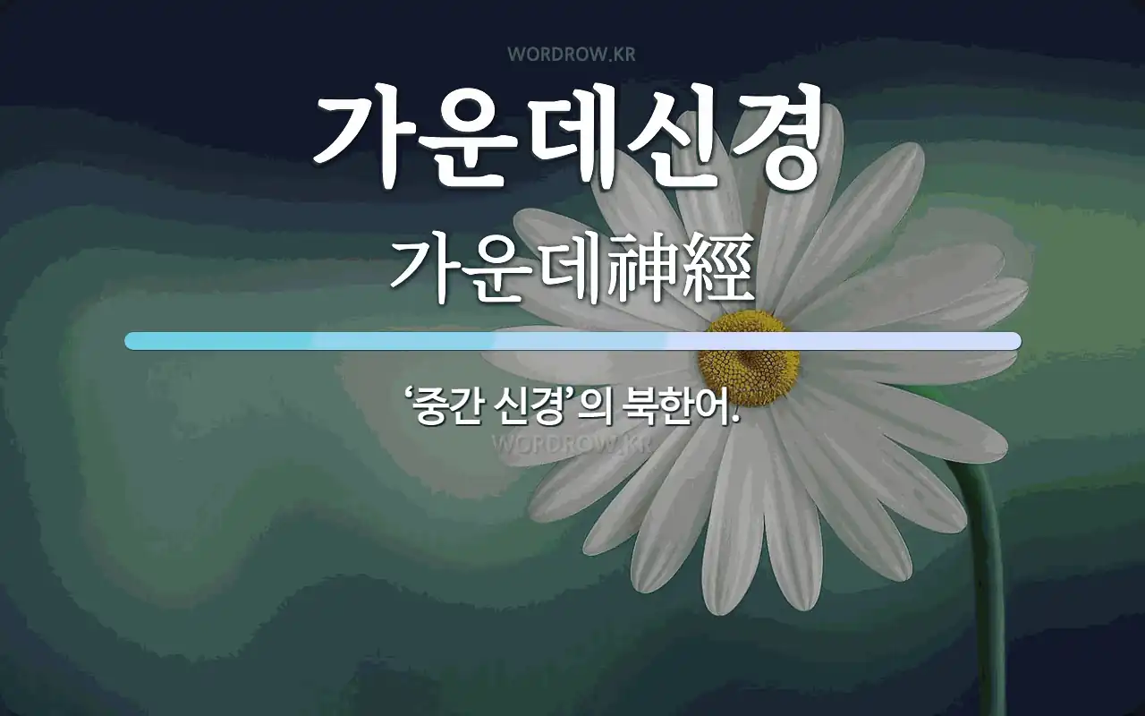 가운데신경 뜻 ‘중간 신경의 북한어