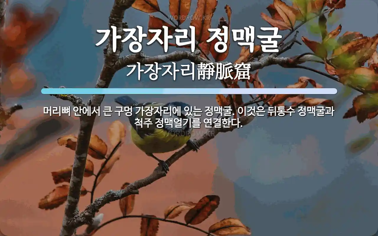 가장자리 정맥굴 뜻 머리뼈 안에서 큰 구멍 가장자리에 있는 정맥굴 이것은 뒤통수 정맥굴과 척주 정맥얼기를 연