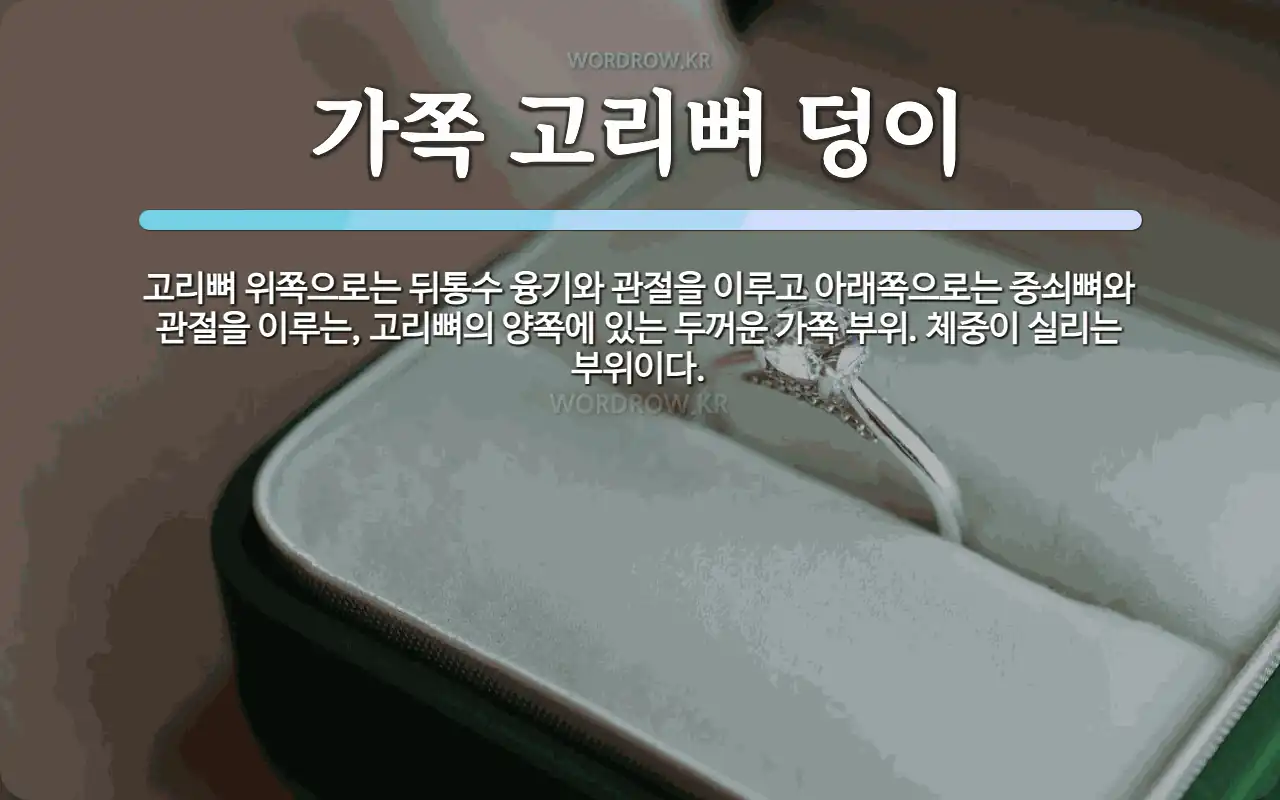 가쪽 고리뼈 덩이 뜻 고리뼈 위쪽으로는 뒤통수 융기와 관절을 이루고 아래쪽으로는 중쇠뼈와 관절을 이루는 고리뼈