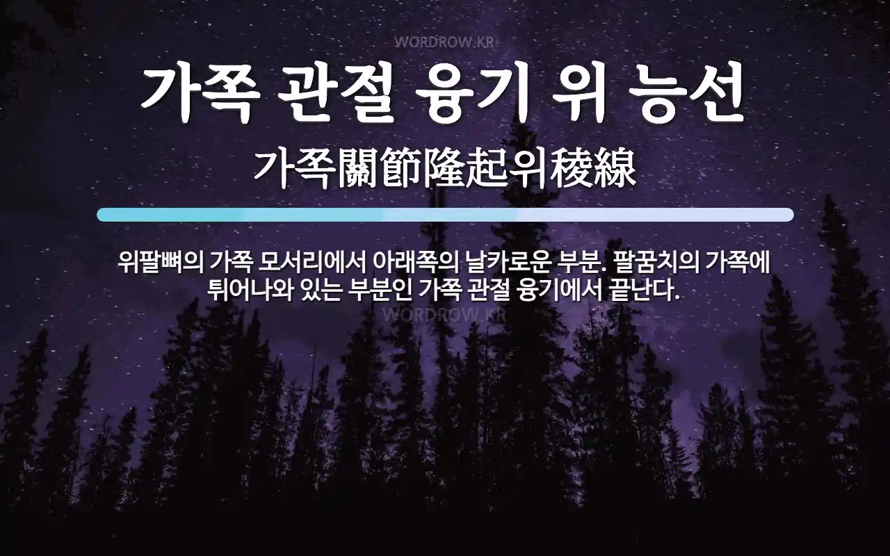 가쪽 관절 융기 위 능선 뜻 위팔뼈의 가쪽 모서리에서 아래쪽의 날카로운 부분 팔꿈치의 가쪽에 튀어나와 있는 부분인 가