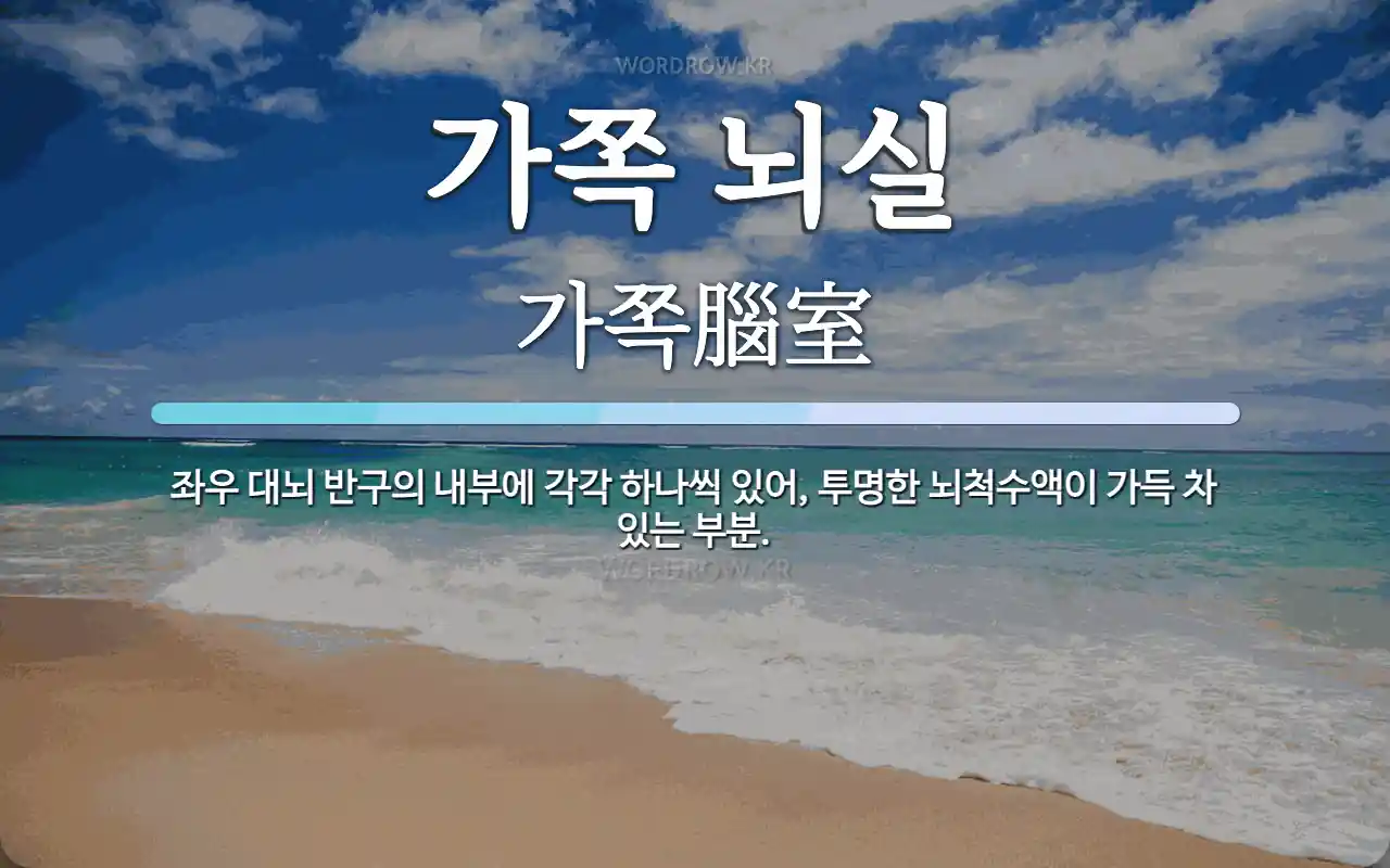 가쪽 뇌실 뜻 좌우 대뇌 반구의 내부에 각각 하나씩 있어 투명한 뇌척수액이 가득 차 있는 부분