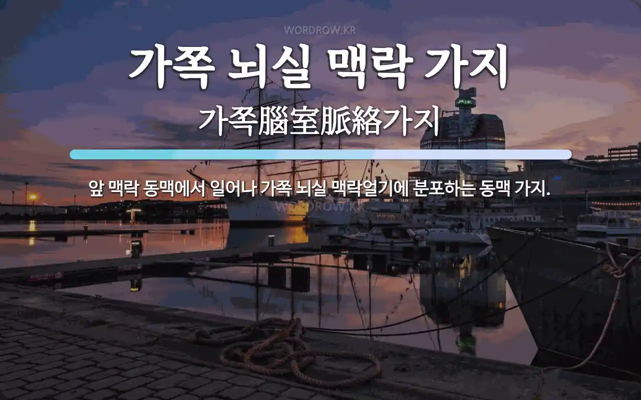가쪽 뇌실 맥락 가지 뜻 앞 맥락 동맥에서 일어나 가쪽 뇌실 맥락얼기에 분포하는 동맥 가지