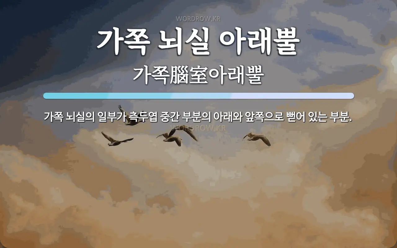 가쪽 뇌실 아래뿔 뜻 가쪽 뇌실의 일부가 측두엽 중간 부분의 아래와 앞쪽으로 뻗어 있는 부분