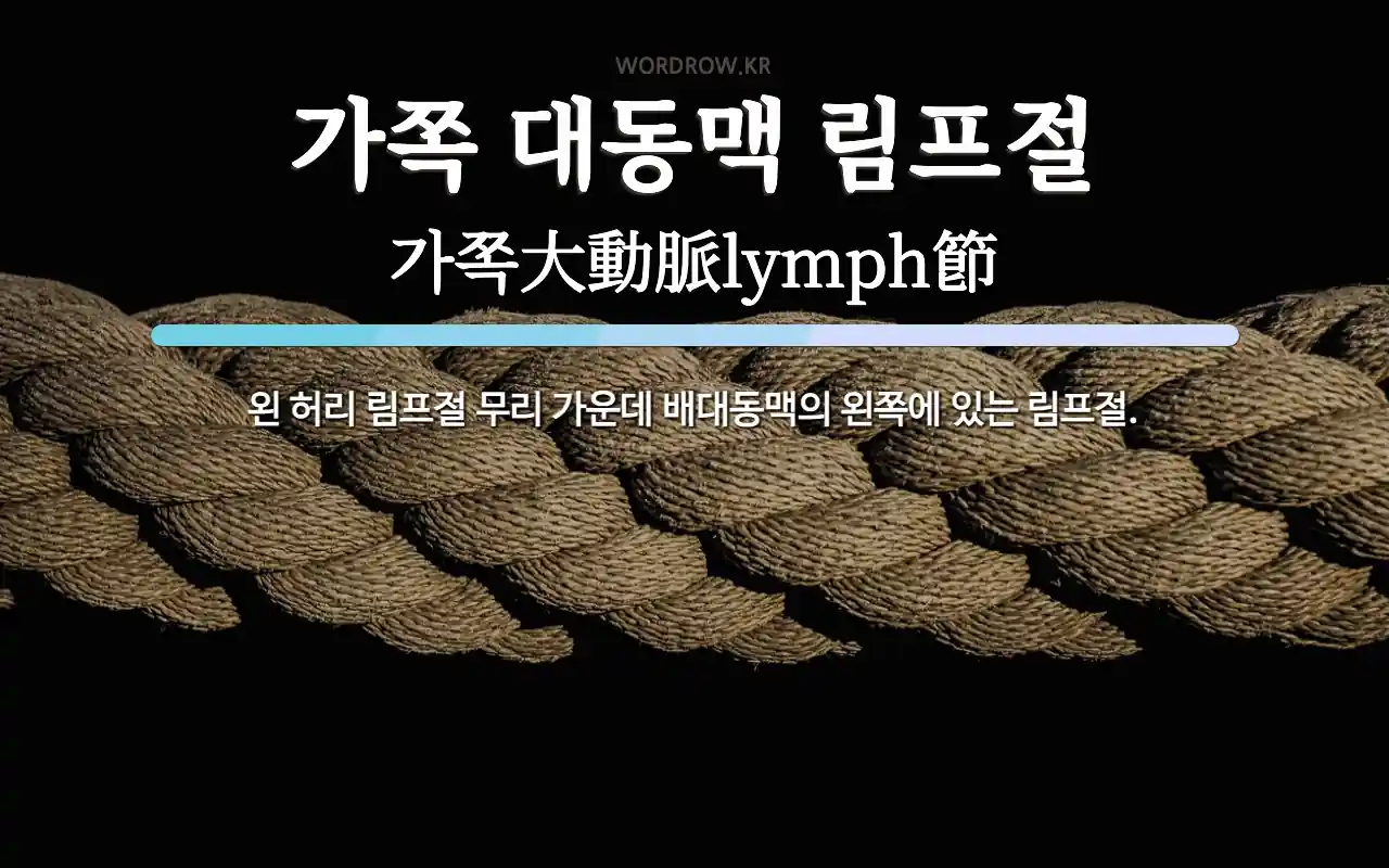 가쪽 대동맥 림프절 뜻 왼 허리 림프절 무리 가운데 배대동맥의 왼쪽에 있는 림프절