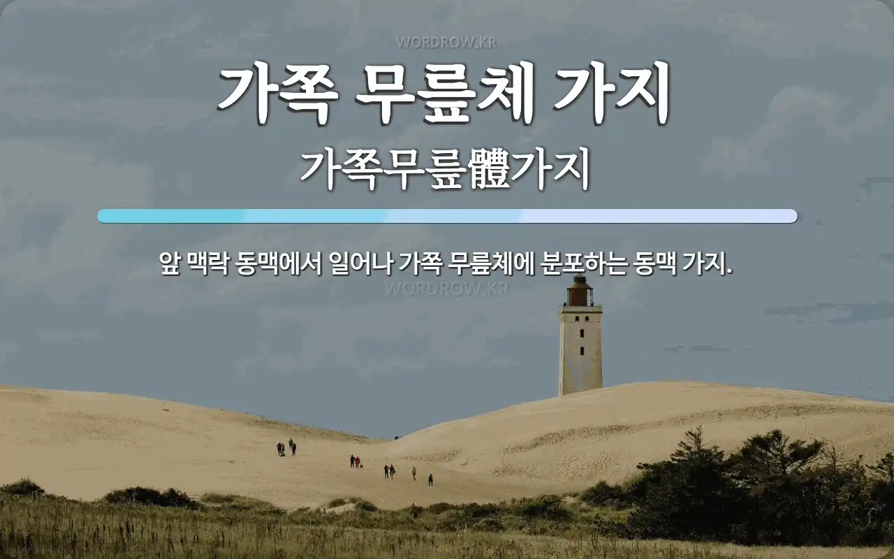 가쪽 무릎체 가지 뜻 앞 맥락 동맥에서 일어나 가쪽 무릎체에 분포하는 동맥 가지