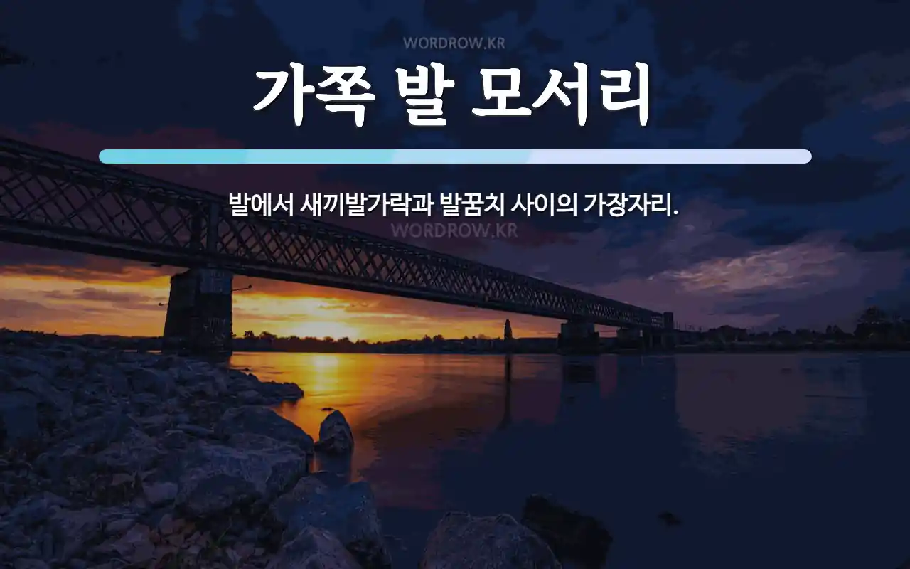 가쪽 발 모서리 뜻 발에서 새끼발가락과 발꿈치 사이의 가장자리