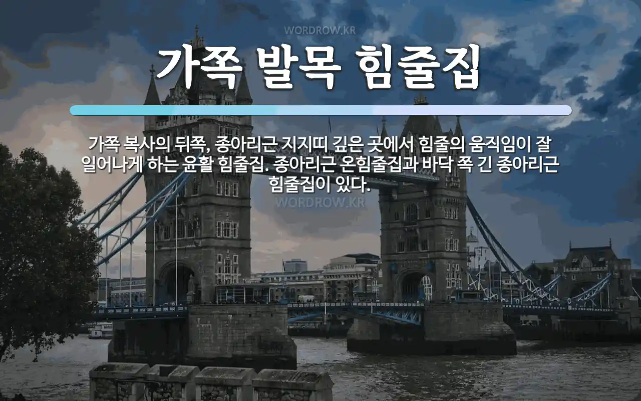 가쪽 발목 힘줄집 뜻 가쪽 복사의 뒤쪽 종아리근 지지띠 깊은 곳에서 힘줄의 움직임이 잘 일어나게 하는 윤활 힘