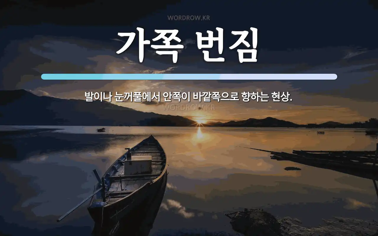 가쪽 번짐 뜻 발이나 눈꺼풀에서 안쪽이 바깥쪽으로 향하는 현상