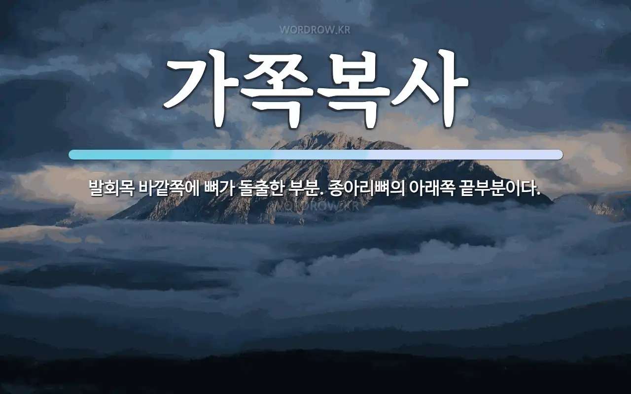 가쪽복사 뜻 발회목 바깥쪽에 뼈가 돌출한 부분 종아리뼈의 아래쪽 끝부분이다