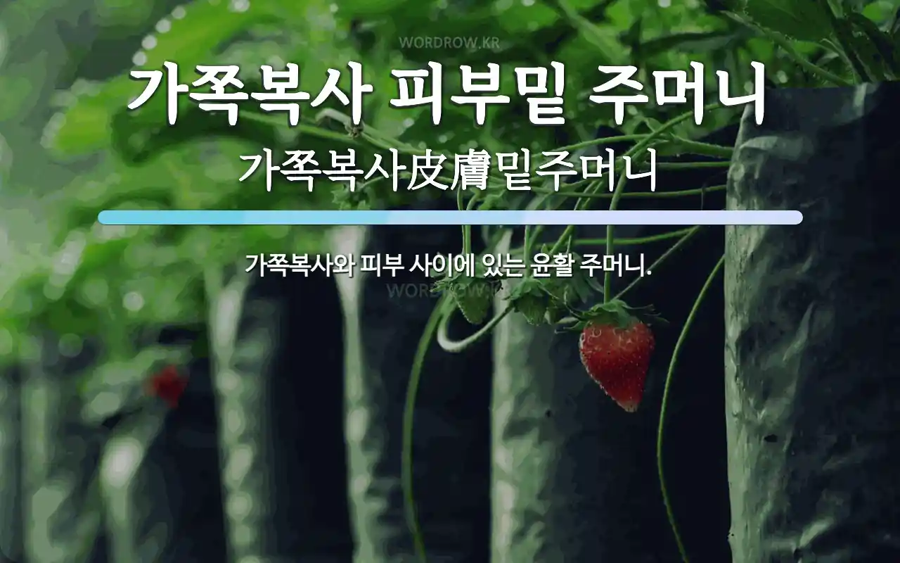 가쪽복사 피부밑 주머니 뜻 가쪽복사와 피부 사이에 있는 윤활 주머니