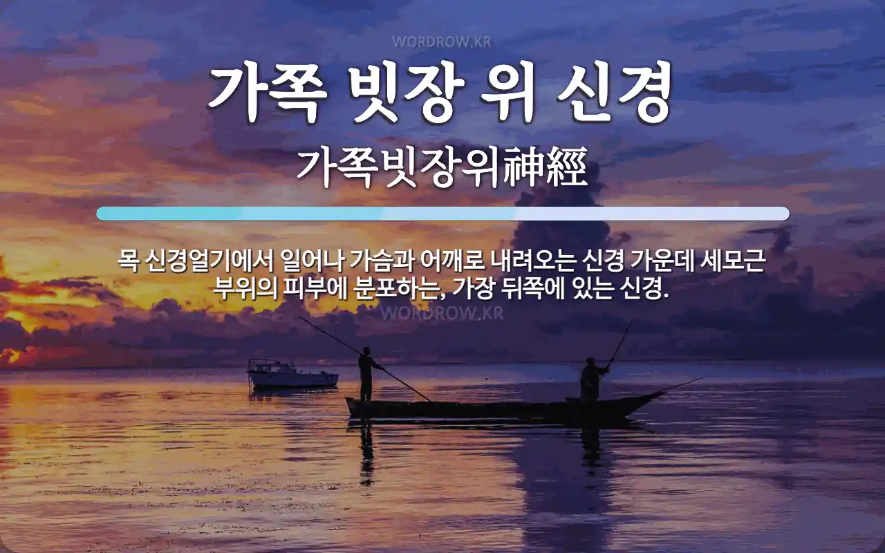 가쪽 빗장 위 신경 뜻 목 신경얼기에서 일어나 가슴과 어깨로 내려오는 신경 가운데 세모근 부위의 피부에 분포하는