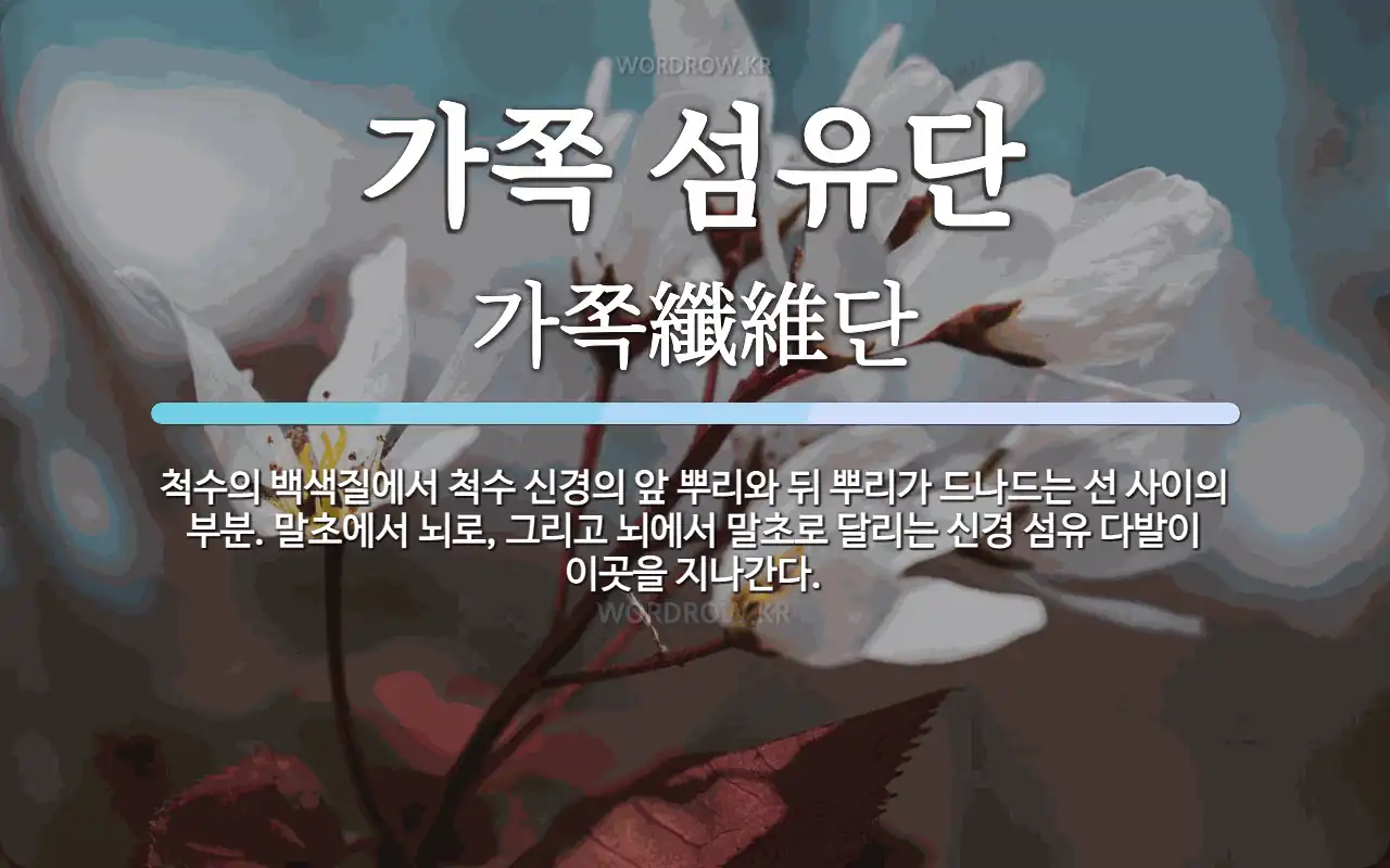 가쪽 섬유단 뜻 척수의 백색질에서 척수 신경의 앞 뿌리와 뒤 뿌리가 드나드는 선 사이의 부분 말초에서 뇌