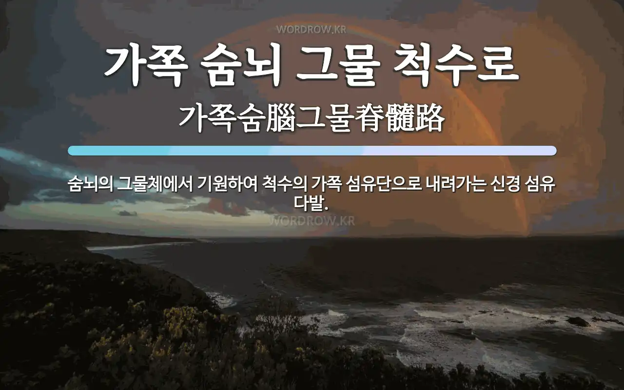 가쪽 숨뇌 그물 척수로 뜻 숨뇌의 그물체에서 기원하여 척수의 가쪽 섬유단으로 내려가는 신경 섬유 다발