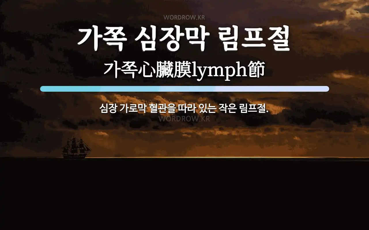 가쪽 심장막 림프절 뜻 심장 가로막 혈관을 따라 있는 작은 림프절