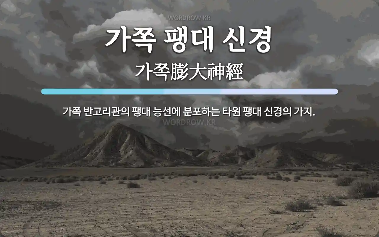 가쪽 팽대 신경 뜻 가쪽 반고리관의 팽대 능선에 분포하는 타원 팽대 신경의 가지
