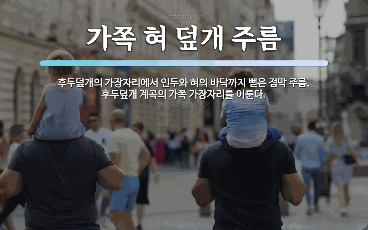 가쪽 혀 덮개 주름 뜻 후두덮개의 가장자리에서 인두와 혀의 바닥까지 뻗은 점막 주름 후두덮개 계곡의 가쪽 가장자