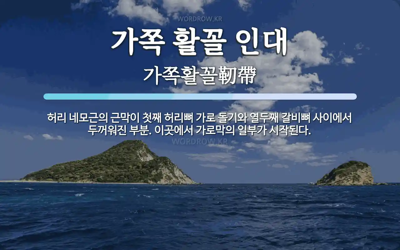 가쪽 활꼴 인대 뜻 허리 네모근의 근막이 첫째 허리뼈 가로 돌기와 열두째 갈비뼈 사이에서 두꺼워진 부분 이곳