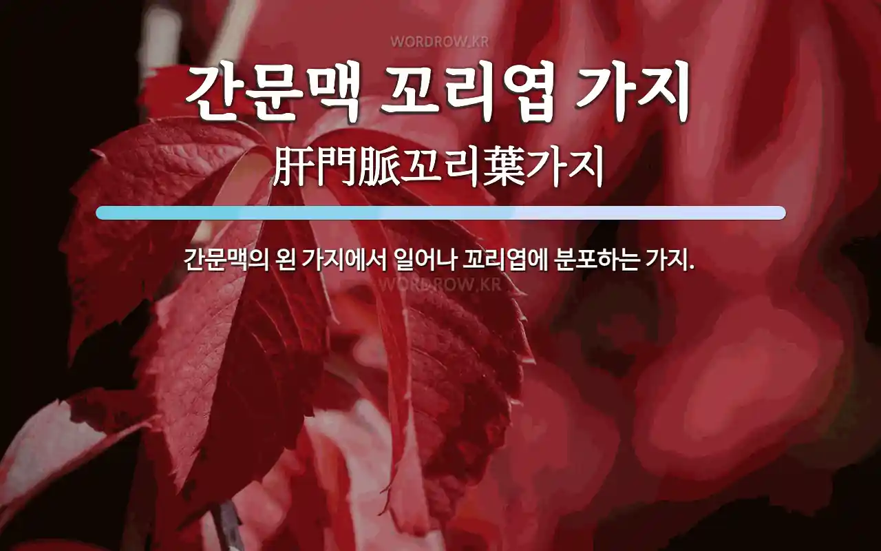 간문맥 꼬리엽 가지 뜻 간문맥의 왼 가지에서 일어나 꼬리엽에 분포하는 가지