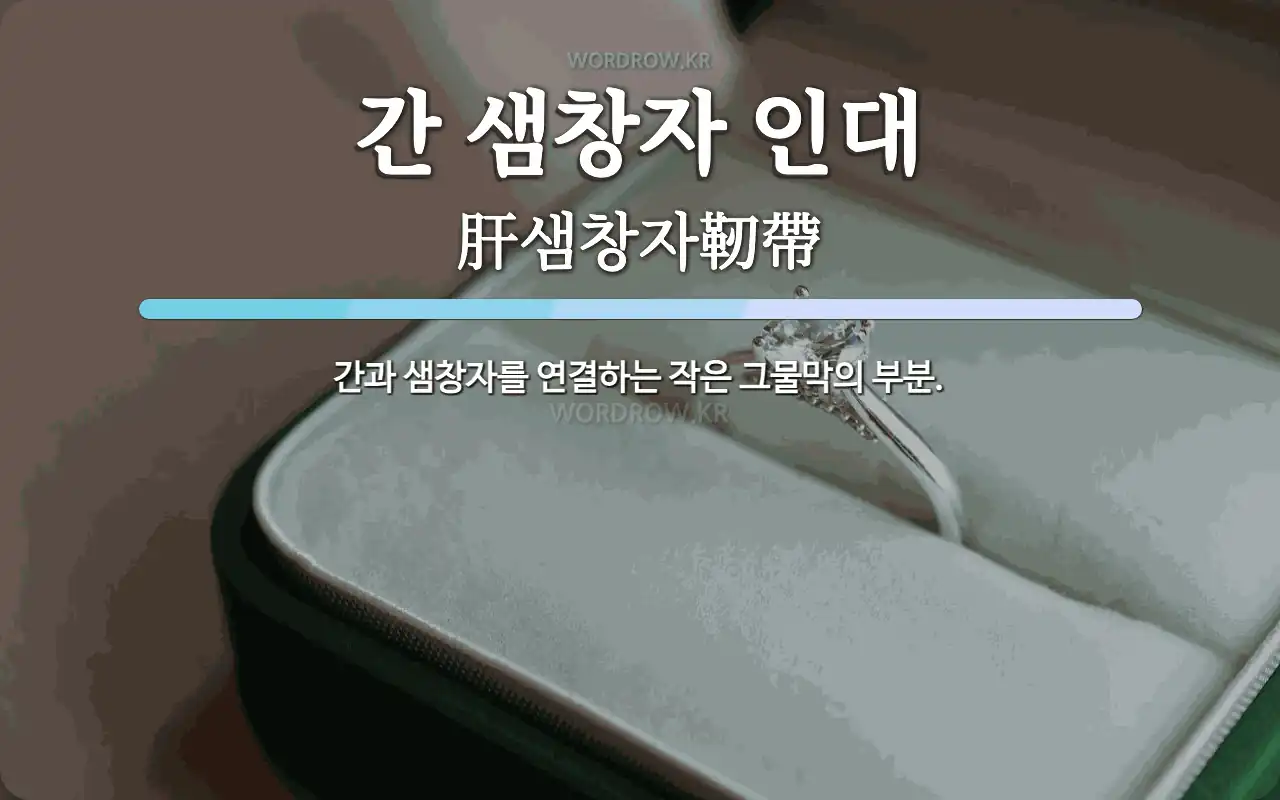 간 샘창자 인대 뜻 간과 샘창자를 연결하는 작은 그물막의 부분