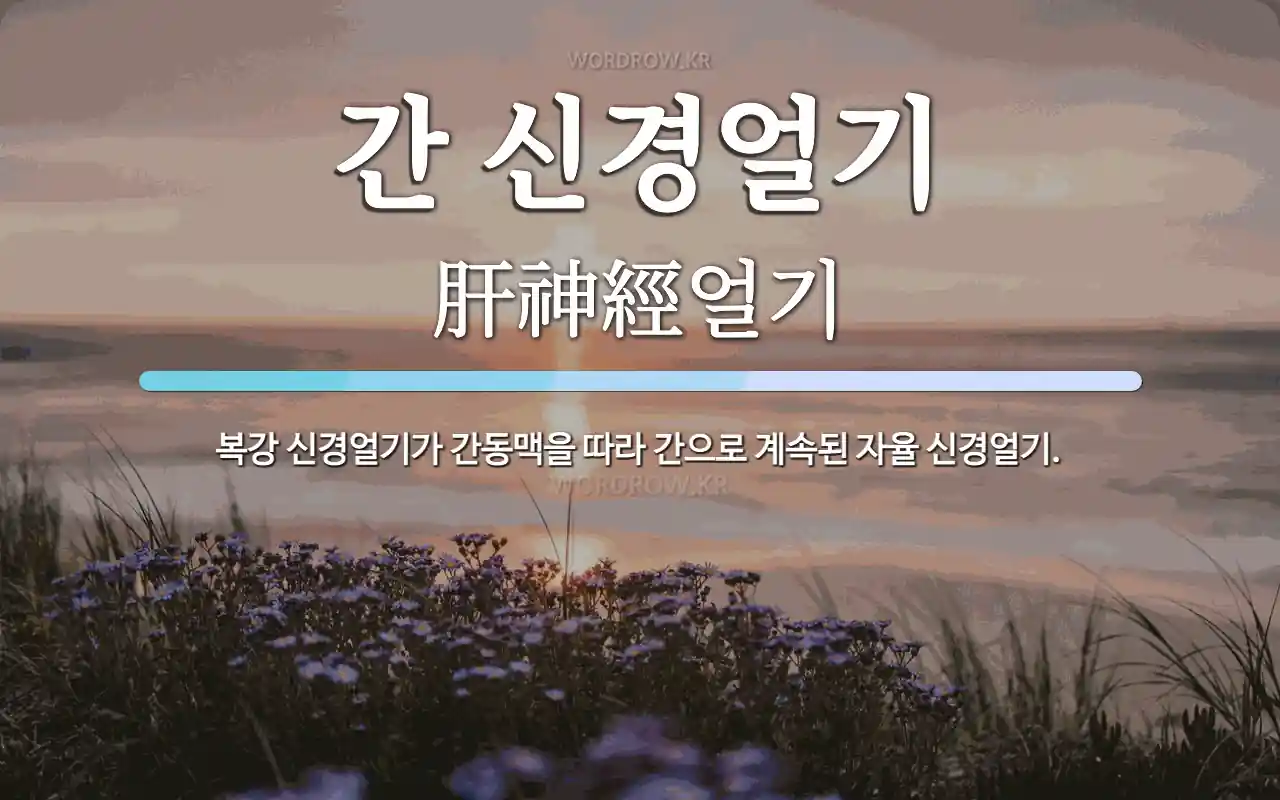 간 신경얼기 뜻 복강 신경얼기가 간동맥을 따라 간으로 계속된 자율 신경얼기