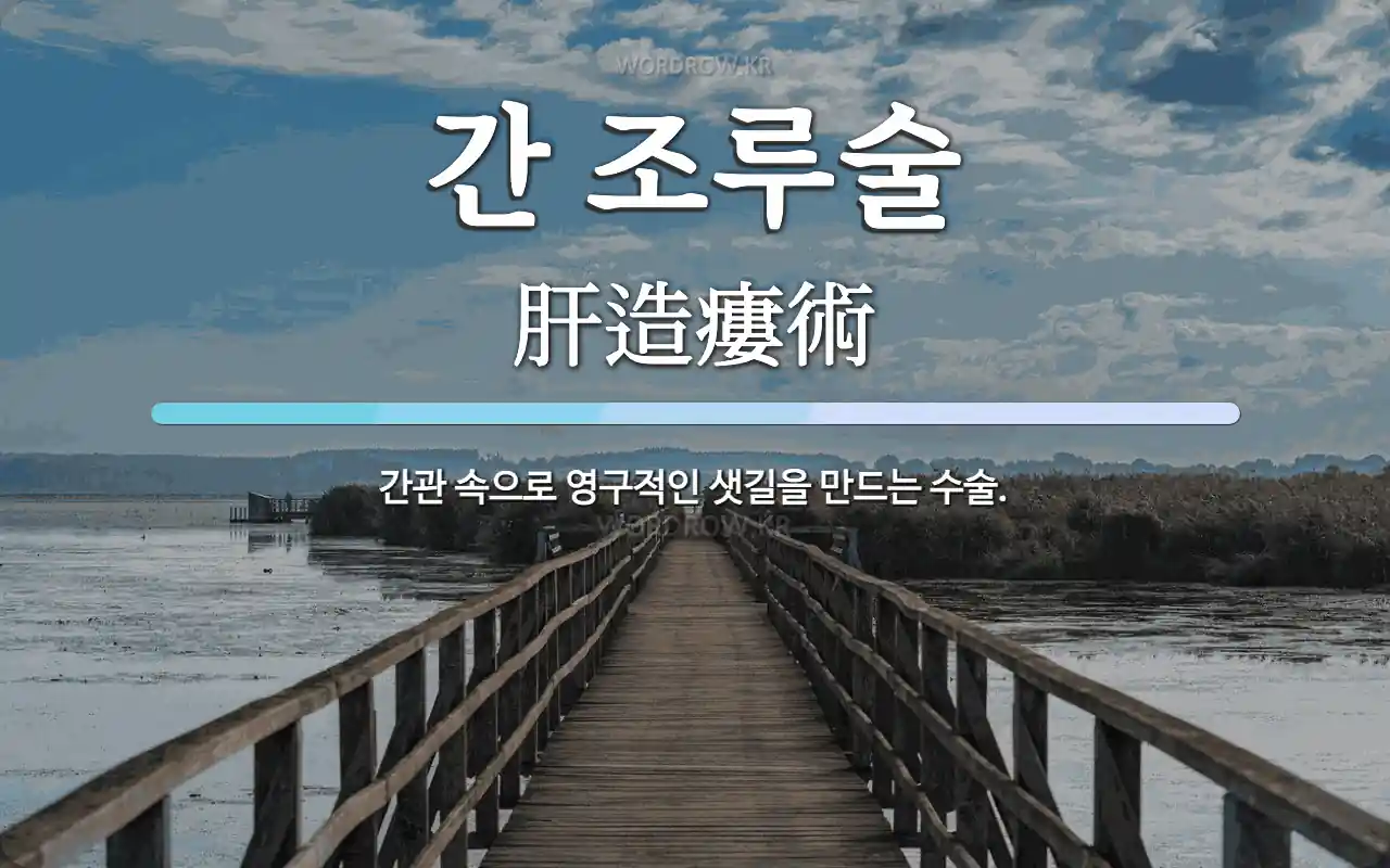 간 조루술 뜻 간관 속으로 영구적인 샛길을 만드는 수술