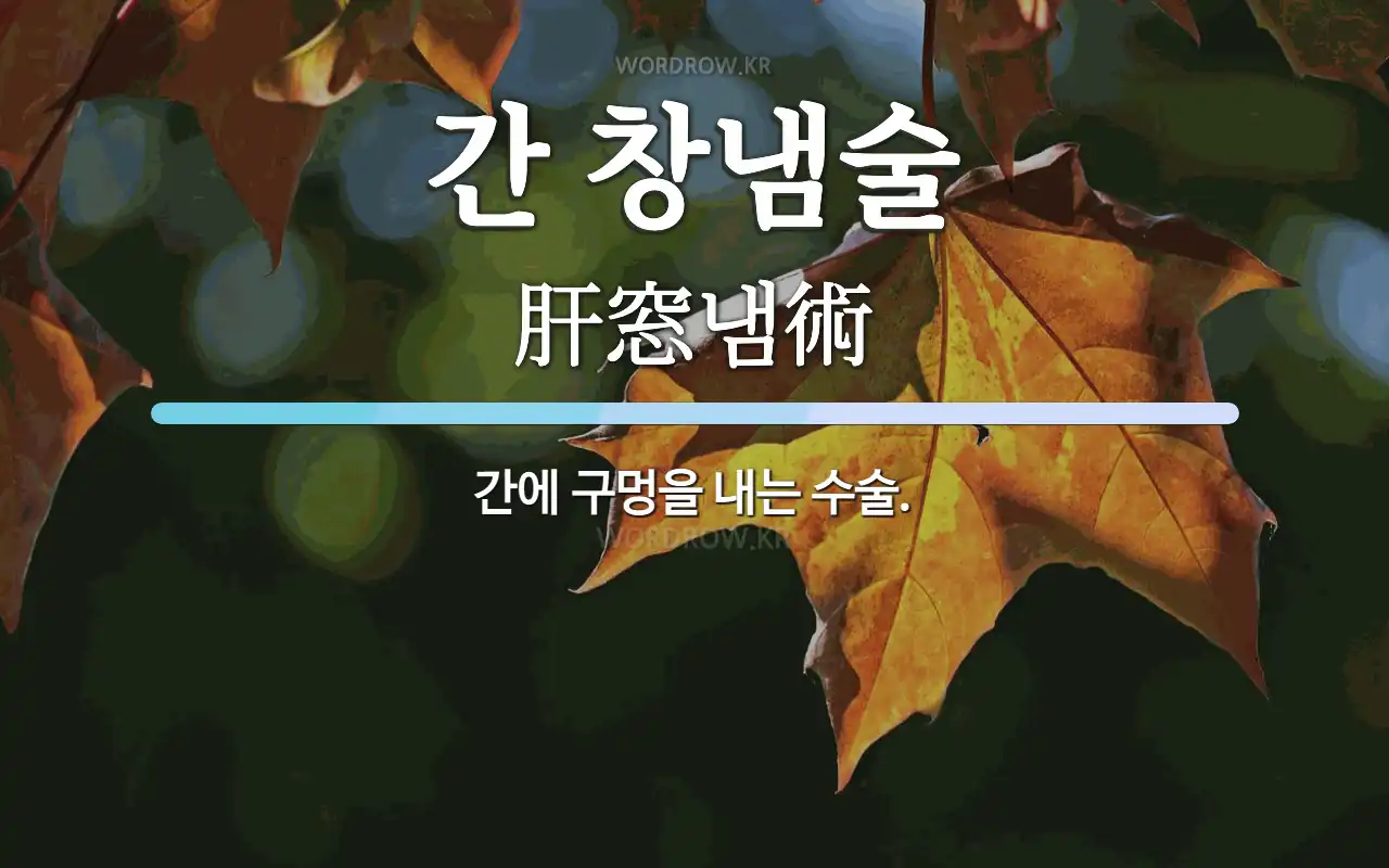 간 창냄술 뜻 간에 구멍을 내는 수술
