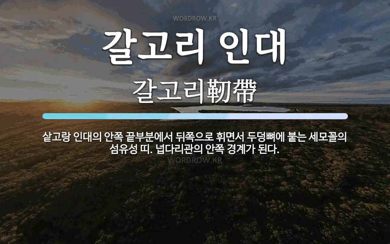 갈고리 인대 뜻 샅고랑 인대의 안쪽 끝부분에서 뒤쪽으로 휘면서 두덩뼈에 붙는 세모꼴의 섬유성 띠 넙다리관