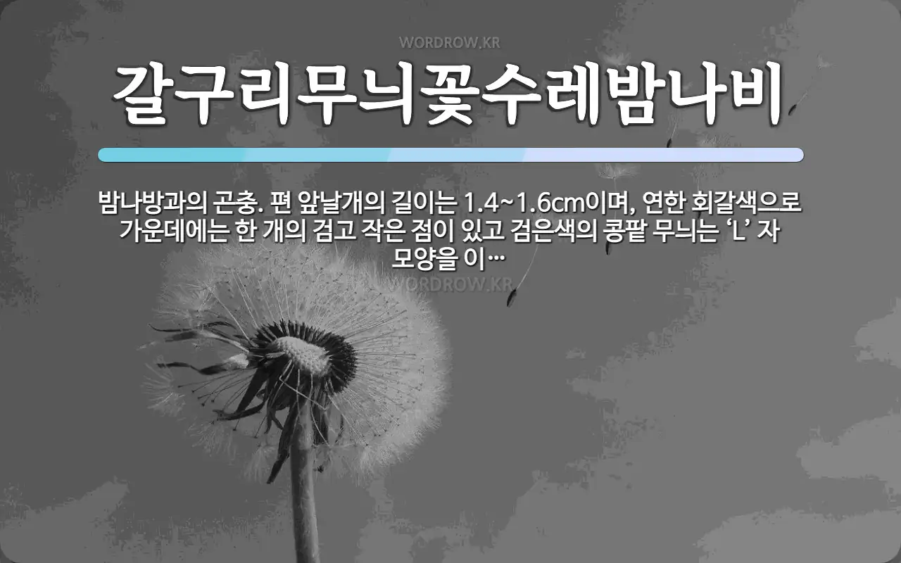갈구리무늬꽃수레밤나비 뜻 밤나방과의 곤충 편 앞날개의 길이는 14~16cm이며 연한 회갈색으로 가운데에는 한