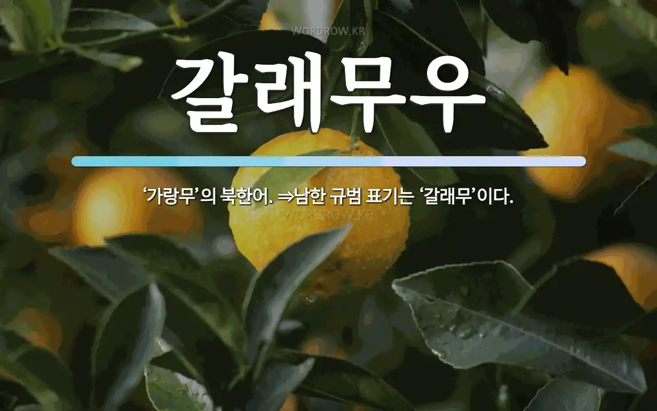 갈래무우 뜻 ‘가랑무의 북한어 ⇒남한 규범 표기는 ‘갈래무이다