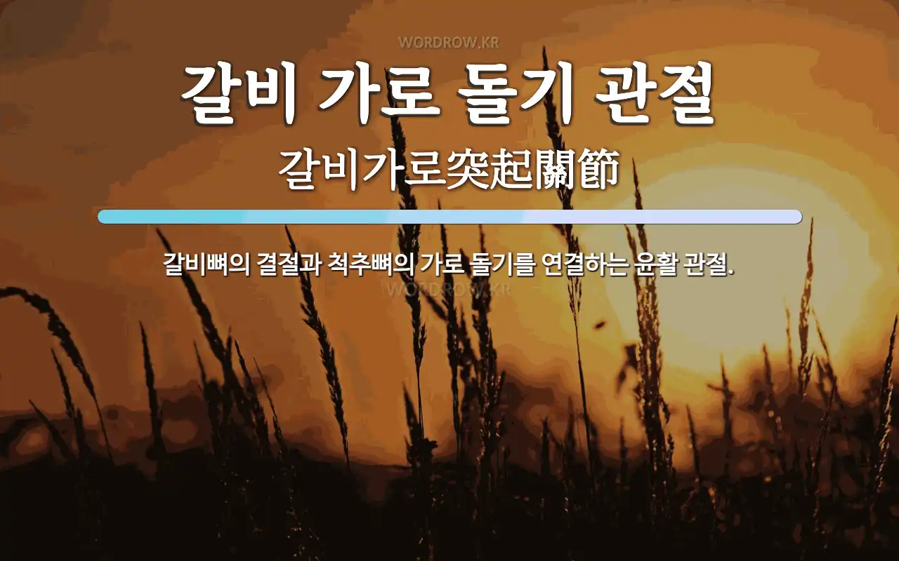 갈비 가로 돌기 관절 뜻 갈비뼈의 결절과 척추뼈의 가로 돌기를 연결하는 윤활 관절