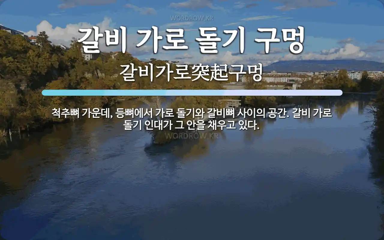 갈비 가로 돌기 구멍 뜻 척추뼈 가운데 등뼈에서 가로 돌기와 갈비뼈 사이의 공간 갈비 가로 돌기 인대가 그 안을