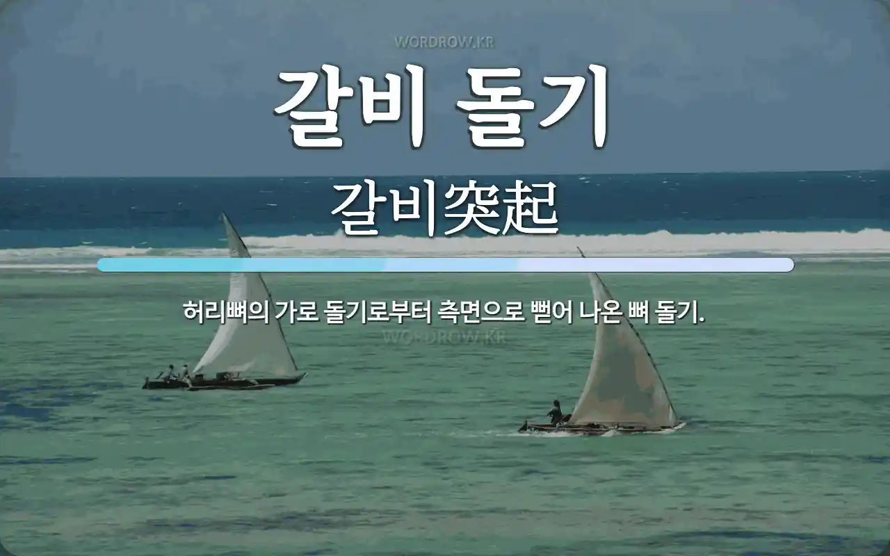 갈비 돌기 뜻 허리뼈의 가로 돌기로부터 측면으로 뻗어 나온 뼈 돌기