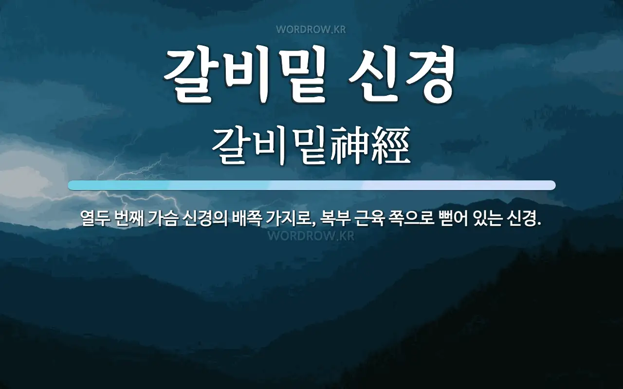 갈비밑 신경 뜻 열두 번째 가슴 신경의 배쪽 가지로 복부 근육 쪽으로 뻗어 있는 신경