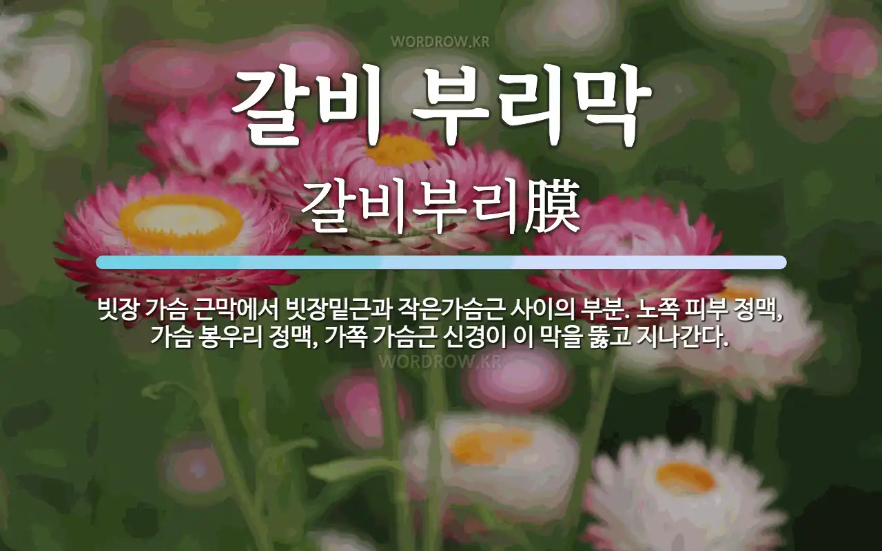 갈비 부리막 뜻 빗장 가슴 근막에서 빗장밑근과 작은가슴근 사이의 부분 노쪽 피부 정맥 가슴 봉우리 정맥