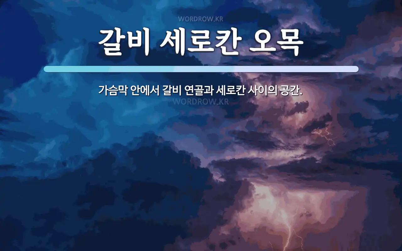 갈비 세로칸 오목 뜻 가슴막 안에서 갈비 연골과 세로칸 사이의 공간