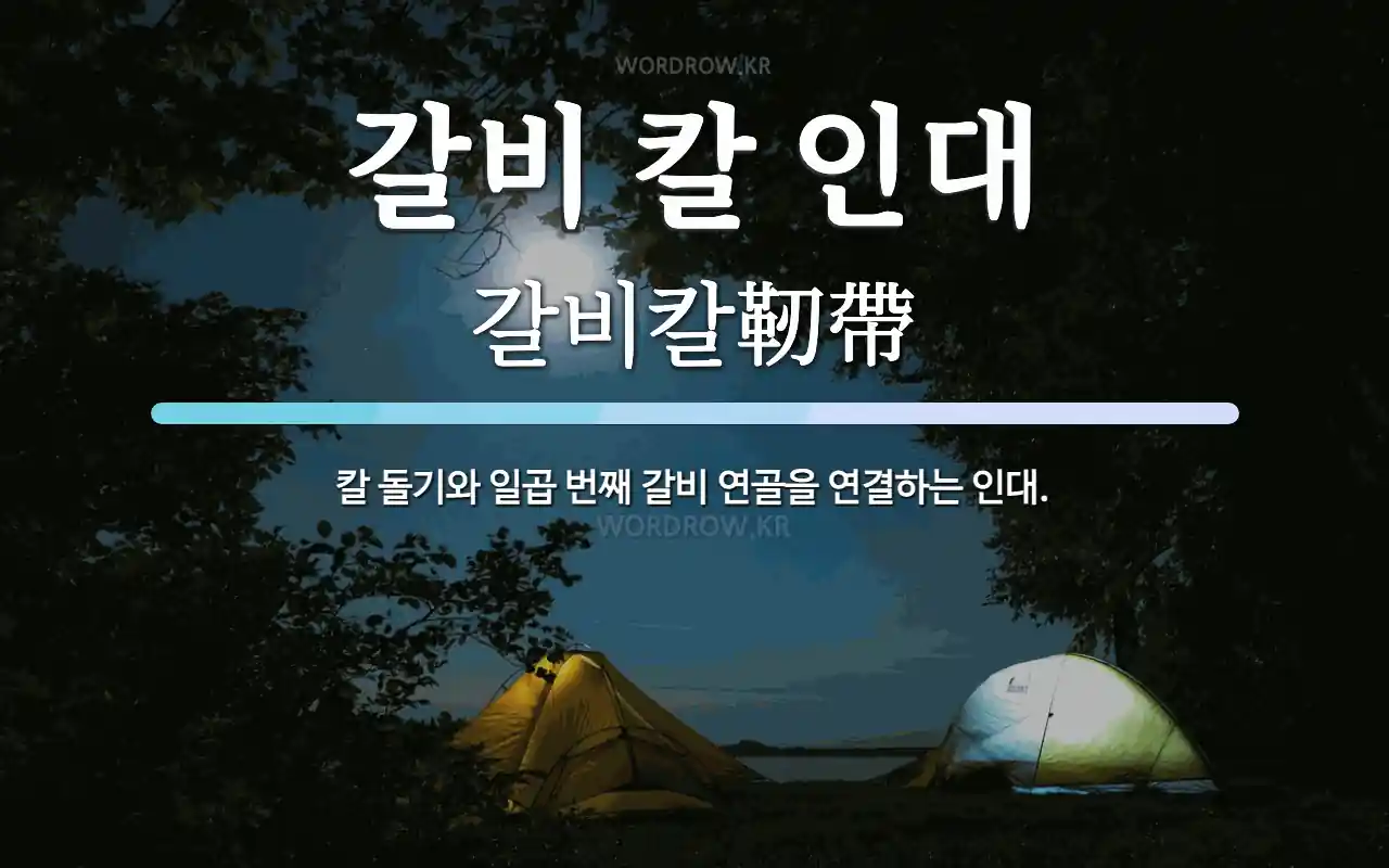 갈비 칼 인대 뜻 칼 돌기와 일곱 번째 갈비 연골을 연결하는 인대
