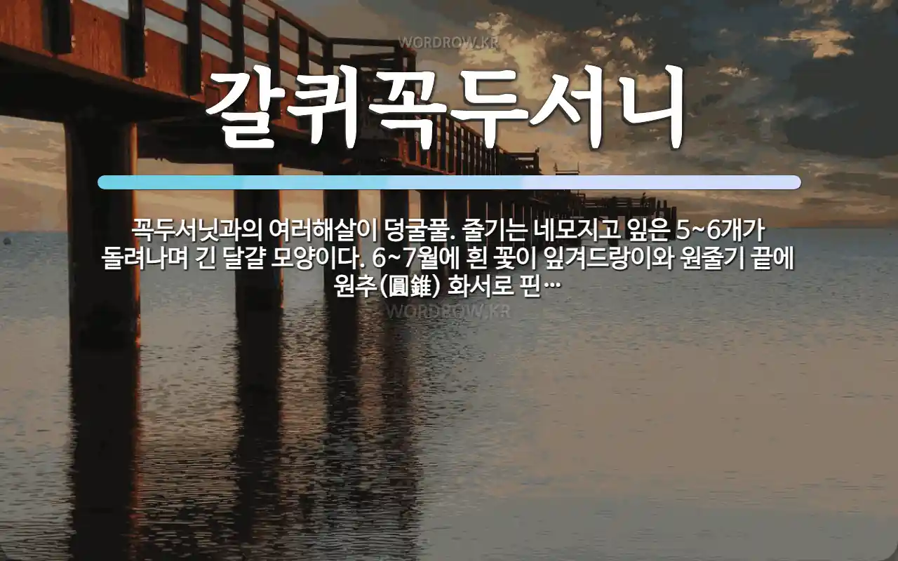 갈퀴꼭두서니 뜻 꼭두서닛과의 여러해살이 덩굴풀 줄기는 네모지고 잎은 5~6개가 돌려나며 긴 달걀 모양이다