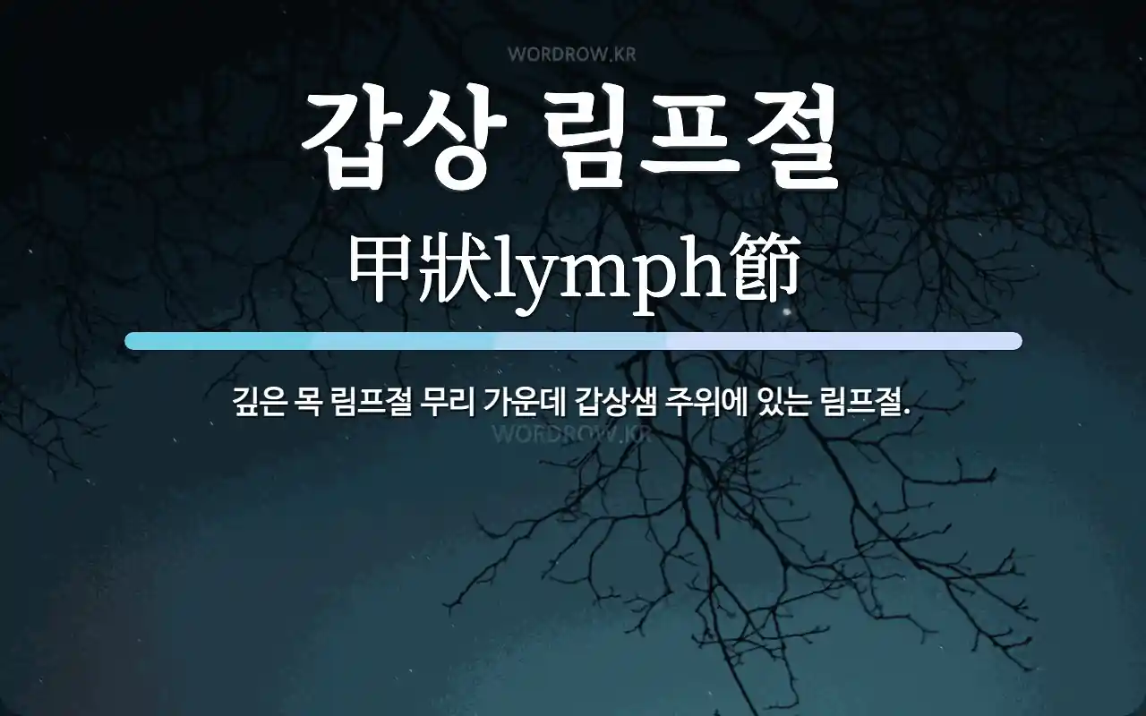 갑상 림프절 뜻 깊은 목 림프절 무리 가운데 갑상샘 주위에 있는 림프절