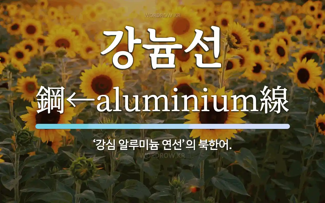 강늄선 뜻 ‘강심 알루미늄 연선의 북한어
