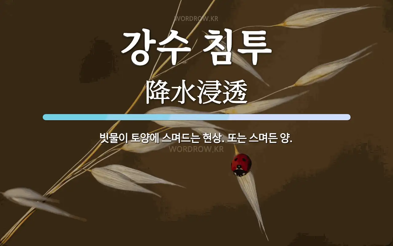 강수 침투 뜻 빗물이 토양에 스며드는 현상 또는 스며든 양