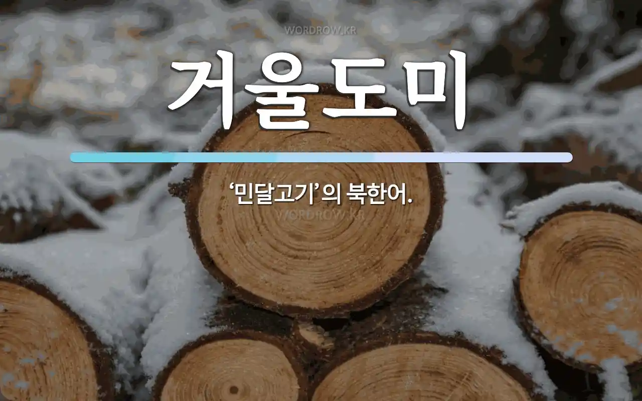 거울도미 뜻 ‘민달고기의 북한어