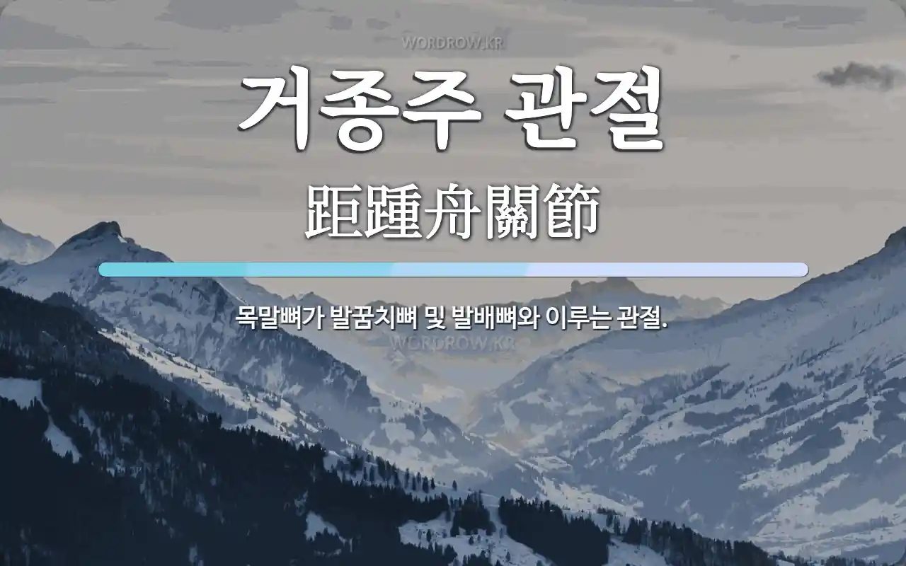 거종주 관절 뜻 목말뼈가 발꿈치뼈 및 발배뼈와 이루는 관절