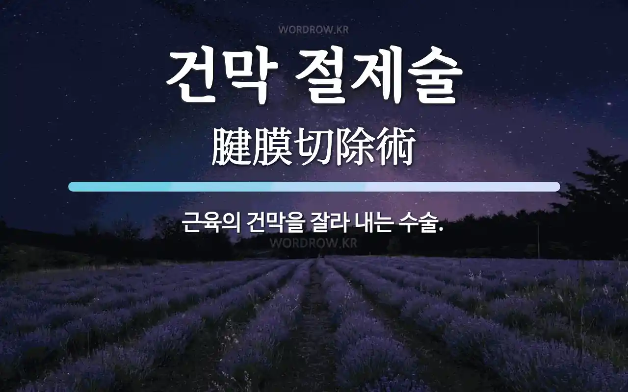 건막 절제술 뜻 근육의 건막을 잘라 내는 수술