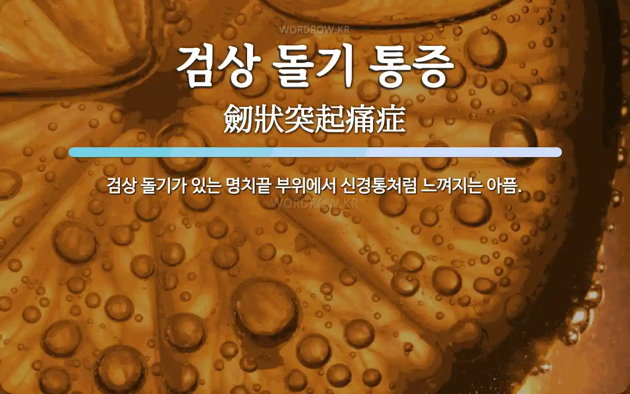 검상 돌기 통증 뜻 검상 돌기가 있는 명치끝 부위에서 신경통처럼 느껴지는 아픔