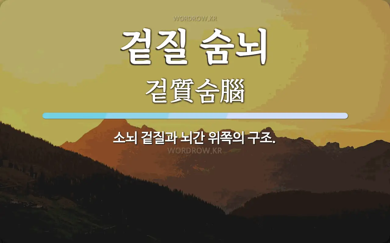 겉질 숨뇌 뜻 소뇌 겉질과 뇌간 위쪽의 구조