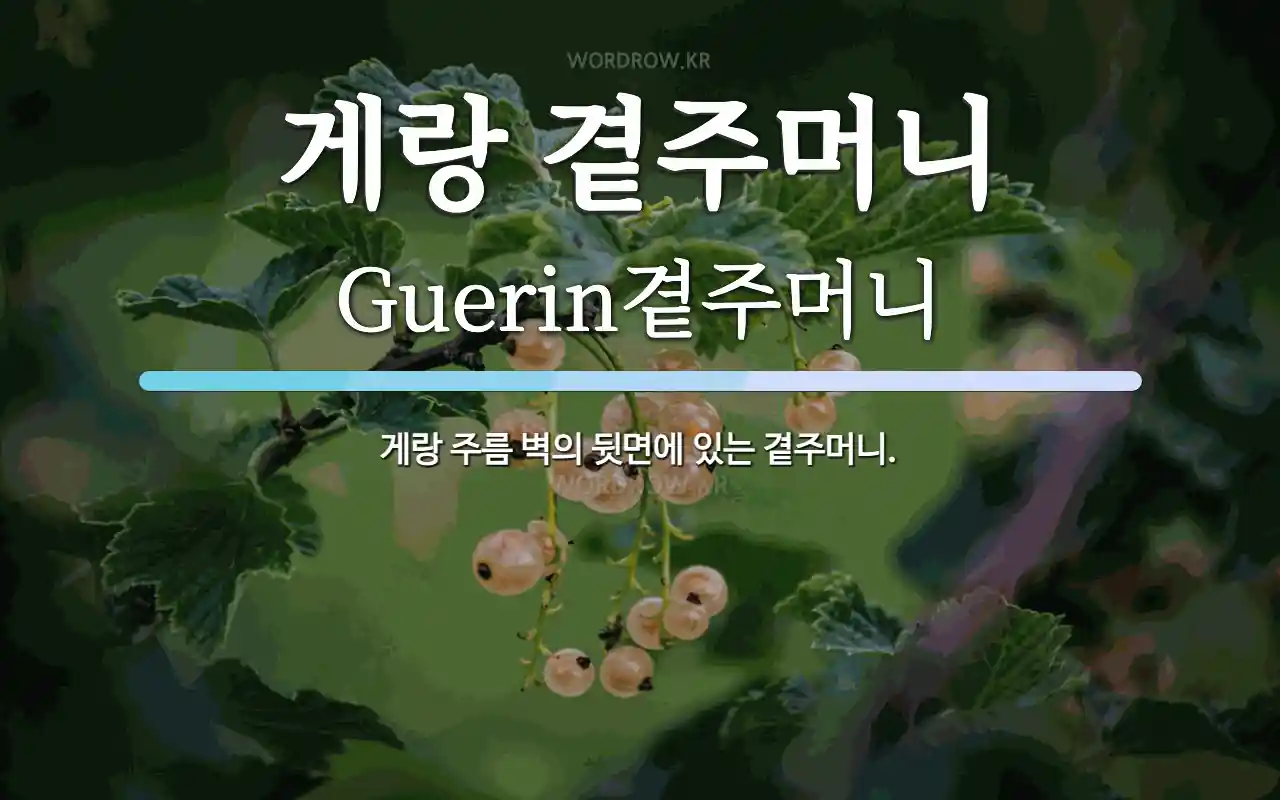 게랑 곁주머니 뜻 게랑 주름 벽의 뒷면에 있는 곁주머니