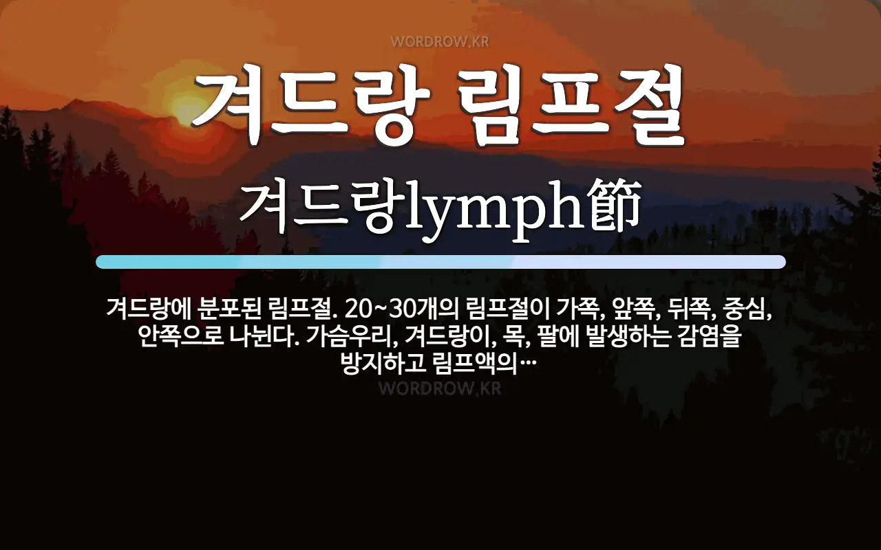 겨드랑 림프절 뜻 겨드랑에 분포된 림프절 20~30개의 림프절이 가쪽 앞쪽 뒤쪽 중심 안쪽으로 나뉜